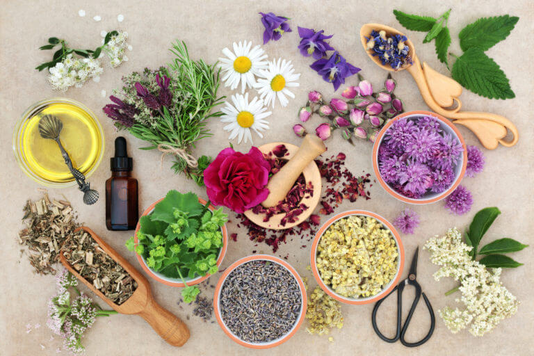 Natural herbal medicine with fresh herbs and flowers, aromatherapy ...